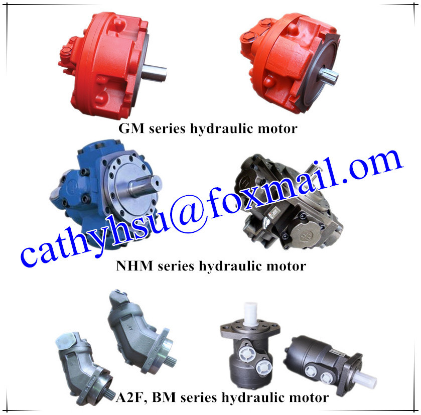SAI hydraulic motor SAI GM1, SAI GM2, SAI GM3, SAI GM4, SAI GM5, SAI ...